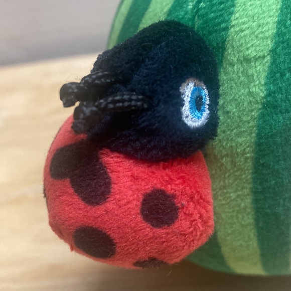 CoComelon | Toys | Cocomelon Watermelon Plush 6 With Ladybug | Poshmark